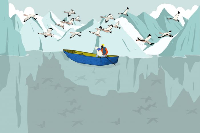 240 aves - Radio Ambulante